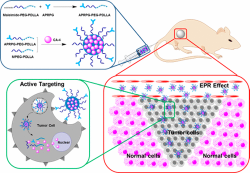Tumor Neovasculature-Targeted APRPG-PEG-PDLLA/MPEG-PDLLA Mixed Micelle Loading Combretastatin A ...