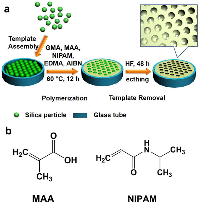 A smart thermo- and pH-responsive microfiltration membrane based on ...