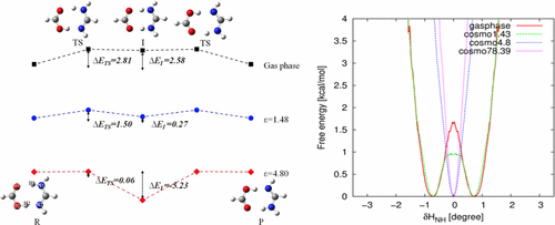 Solvent Dependence of Double Proton Transfer in the Formic Acid ...