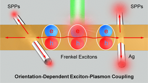 Orientation-Dependent Exciton–Plasmon Coupling in Embedded Organic ...