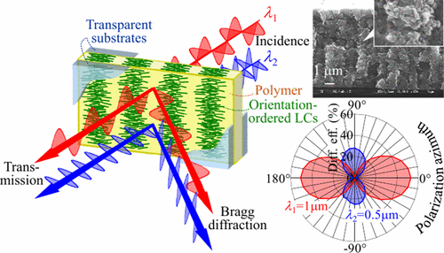Multiple Bragg Diffractions with Different Wavelengths and Polarizations Composed of Liquid ...