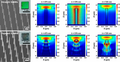 Correlating Light Absorption with Various Nanostructure Geometries in Vertically Aligned Si ...