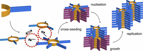 Emergence of a New Self-Replicator from a Dynamic Combinatorial Library Requires a Specific Pre ...