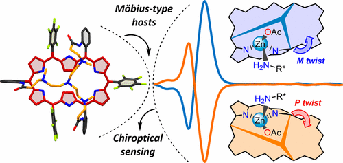 Tren-Capped Hexaphyrin Zinc Complexes: Interplaying Molecular ...