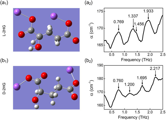 通过太赫兹时域光谱法鉴定2-羟基戊二酸二钠盐（2HG）的异构体。,Scientific Reports - X-MOL