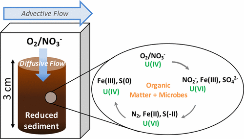 Oxidative Uranium Release from Anoxic Sediments under Diffusion-Limited ...