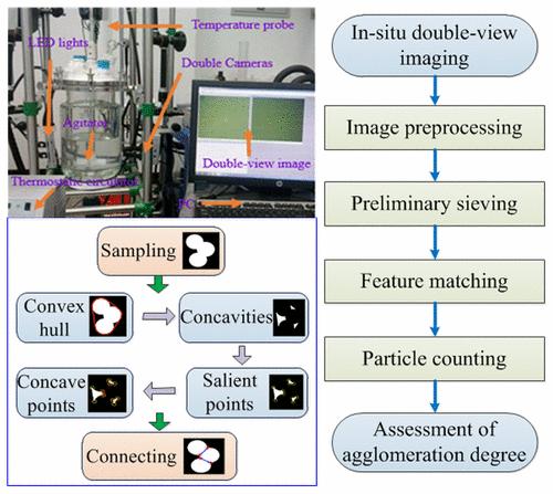 Online Detection of Particle Agglomeration during Solution ...