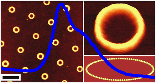 Using Particle Lithography to Tailor the Architecture of Au ...
