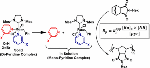 Kinetic Study of Living Ring-Opening Metathesis Polymerization with ...