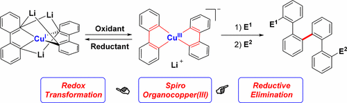 Organocopper(III) Spiro Complexes: Synthesis, Structural ...