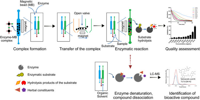 A multiple biomarker assay for quality assessment of botanical drugs ...