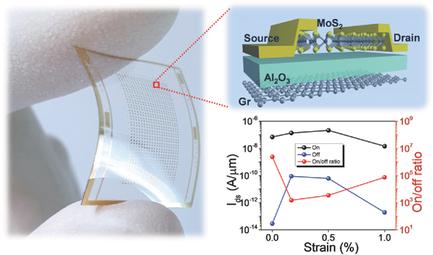 A High‐On/Off‐Ratio Floating‐Gate Memristor Array on a Flexible ...