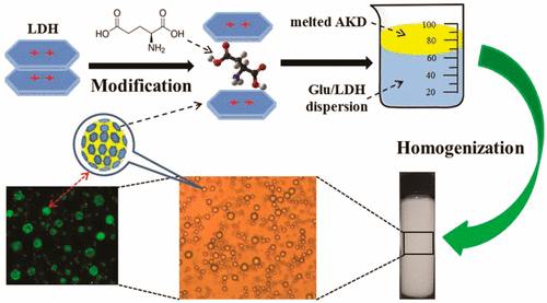 Alkyl Ketene Dimer Emulsions Stabilized by Layered Double Hydroxide ...