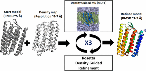Iterative Molecular Dynamics–Rosetta Membrane Protein Structure ...