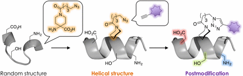 Preorganized Cyclic α,α-Disubstituted α-Amino Acids Bearing Functionalized Side Chains That Act ...