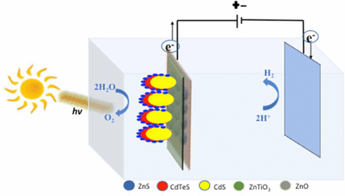 Nature-Mimic ZnO Nanoflowers Architecture: Chalcogenide Quantum Dots Coupling with ZnO/ZnTiO3 ...