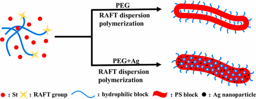 In Situ Synthesis of Coil–Coil Diblock Copolymer Nanotubes and Tubular ...
