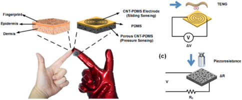 Fingertip-inspired electronic skin based on triboelectric sliding ...