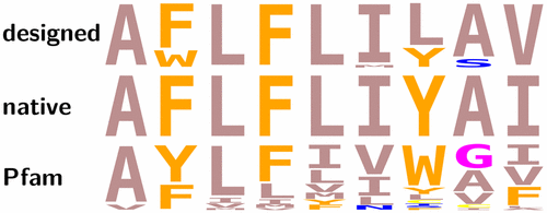 Full Protein Sequence Redesign with an MMGBSA Energy Function,Journal ...