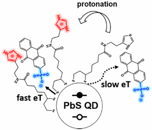 Reversible Modulation of the Electrostatic Potential of a Colloidal ...