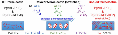 Stretching-Induced Relaxor Ferroelectric Behavior in a Poly(vinylidene ...
