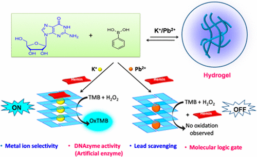 Supramolecular Hydrogel Inspired from DNA Structures Mimics Peroxidase ...