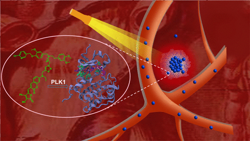 PLK1-Targeted Fluorescent Tumor Imaging with High Signal-to-Background ...