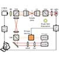 Modeling and calibrating nonlinearity and crosstalk in back focal plane interferometry for three ...