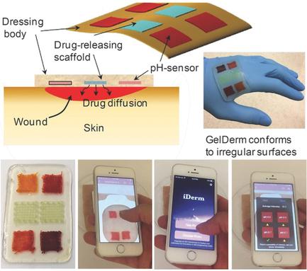 An Advanced Multifunctional Hydrogel‐Based Dressing for Wound ...