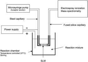 Continuous electromembrane extraction coupled with mass spectrometry ...