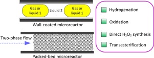 Multiphase flow processing in microreactors combined with heterogeneous ...