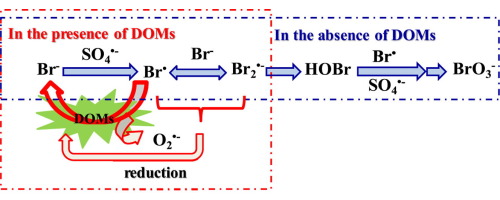 Mechanistic insight into suppression of bromate formation by dissolved ...