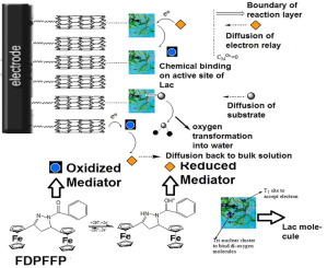 Investigation on Electrochemical Behavior and Its Catalytic Effect on ...