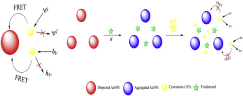 Novel triadimenol detection assay based on fluorescence resonance energy transfer between gold ...