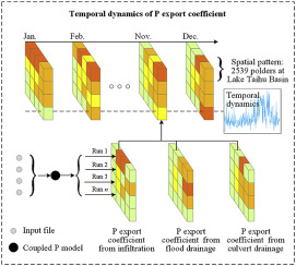 Sources, distribution and export coefficient of phosphorus in lowland ...