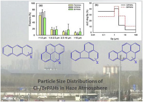 Gas–particle phase partitioning and particle size distribution of chlorinated and brominated ...