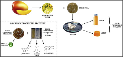 A hydrocolloid based biorefinery approach to the valorisation of mango ...