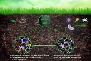 Biochar通过生物刺激策略促进石油污染土壤中PAHs的生物降解,Journal of Hazardous Materials - X-MOL
