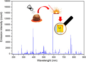 Detection and quantification of a toxic salt substitute (LiCl) by using ...