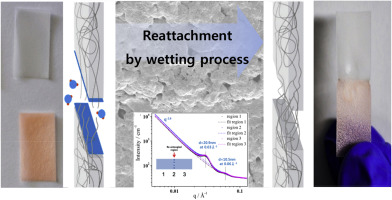 Reattachment of crosslinked poly(ethylene oxide) via chain ...