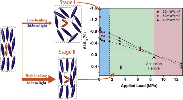 Influence of external loads on structure and photoactuation in densely ...
