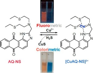一种选择性比色和发红光荧光探针，用于顺序检测Cu 2+ 和H 2 S,Sensors and Actuators B: Chemical ...