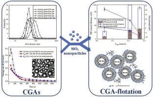 Surface-modified microbubbles (colloidal gas aphrons) for nanoparticle ...
