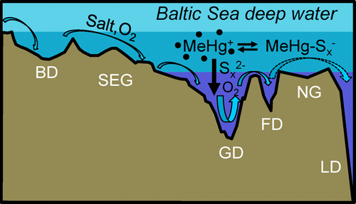 The Impact of the Major Baltic Inflow of December 2014 on the Mercury ...