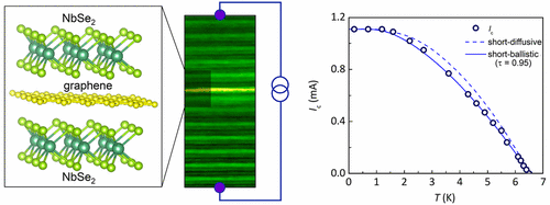 Strong Proximity Josephson Coupling in Vertically Stacked NbSe2 ...
