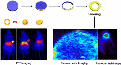 Suppressing Nanoparticle-Mononuclear Phagocyte System Interactions of ...