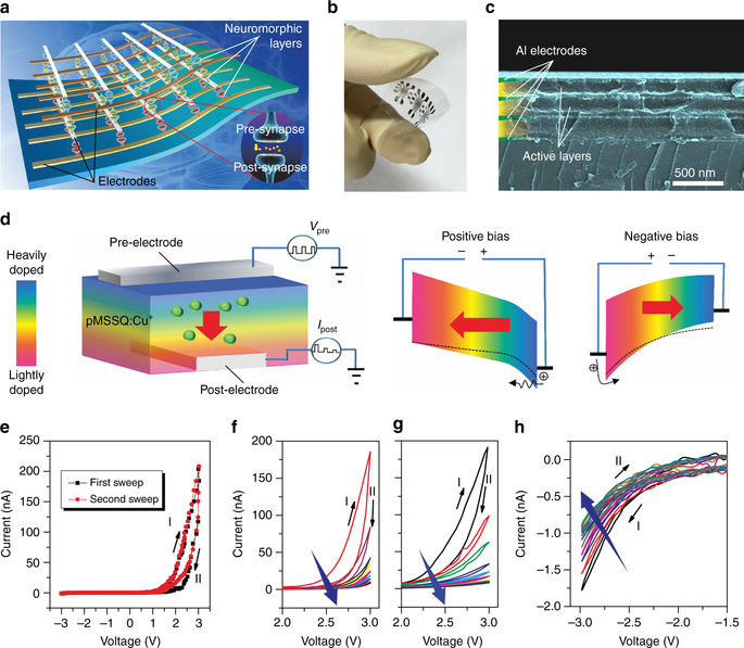 Flexible three-dimensional artificial synapse networks with correlated ...
