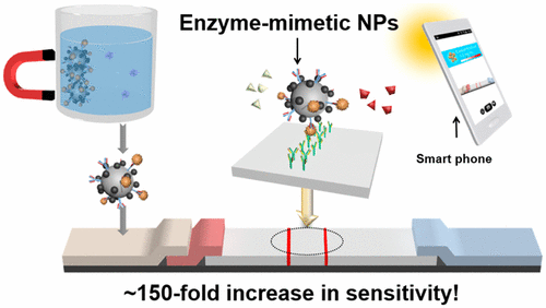 Pt-Decorated Magnetic Nanozymes for Facile and Sensitive Point-of-Care ...