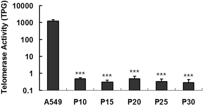 The hUC-MSCs cell line CCRC-1 represents a novel, safe and high ...