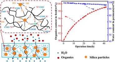 Polyelectrolyte complexes/silica hybrid hollow fiber membrane for fusel ...